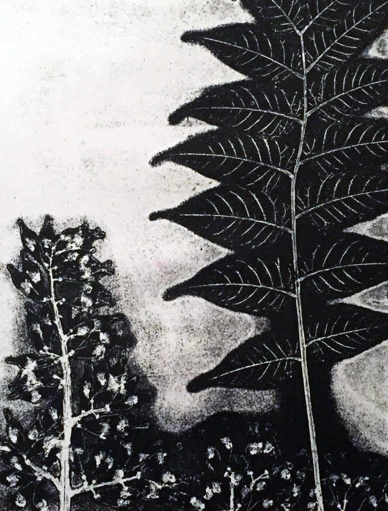 Maria Neil presents A Curated Selection of Natural Elements from Here ...