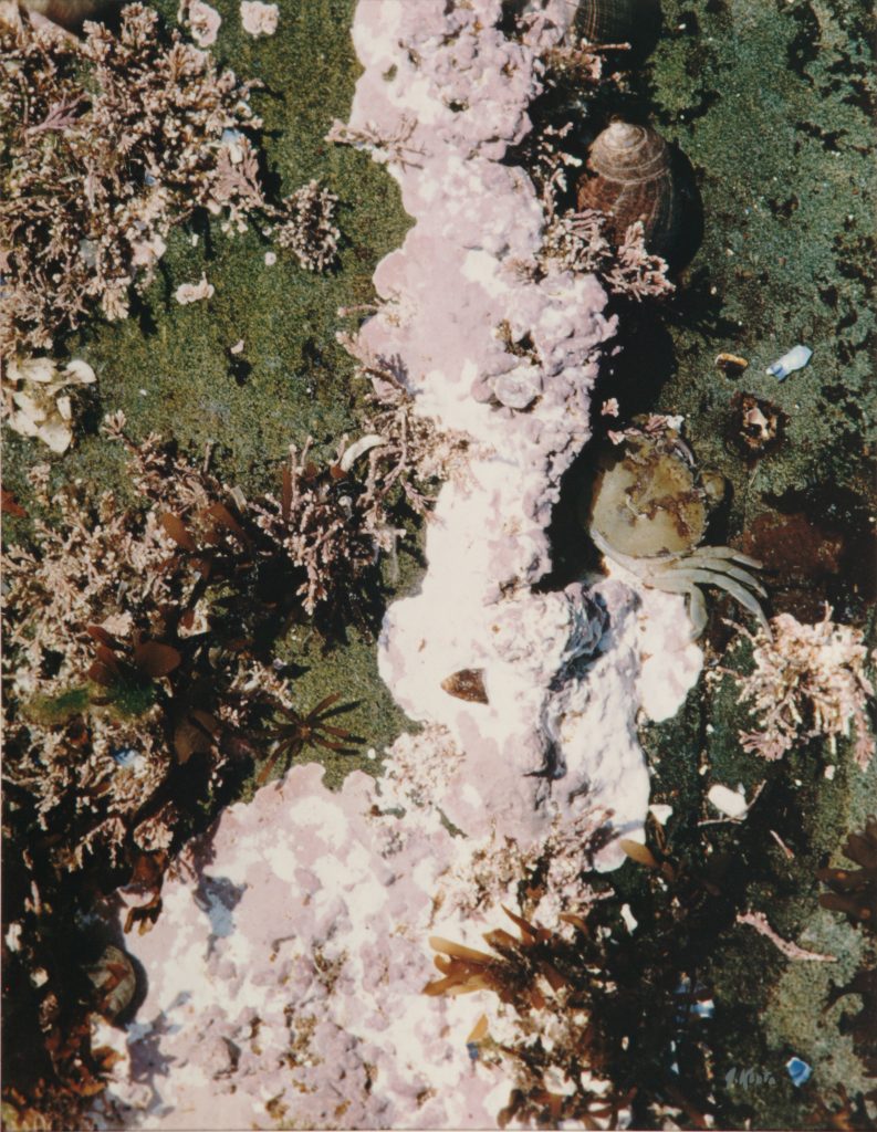 Akron Art Museum: Alchemy, and more - Collective Arts Network - CAN Journal