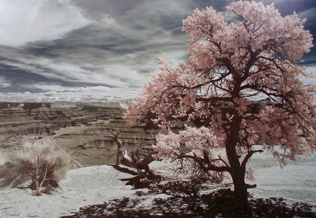 Seeing the Unseeable, Magnificently at Gallery+ - Collective Arts ...